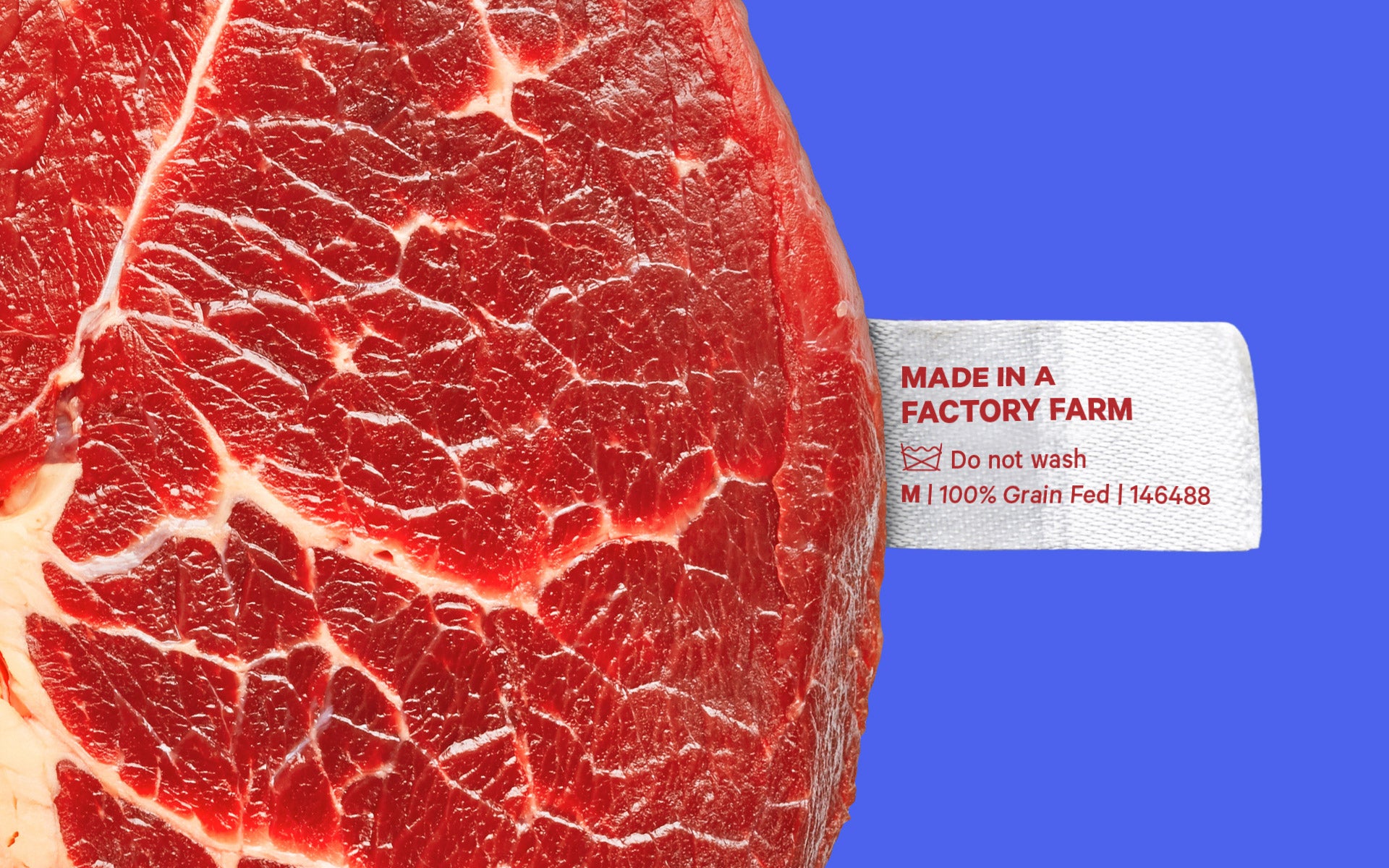 Why's meat so cheap, ya'll? – Juicy Marbles